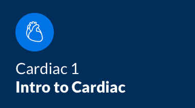 Cardiac 1: Introduction to Cardiac