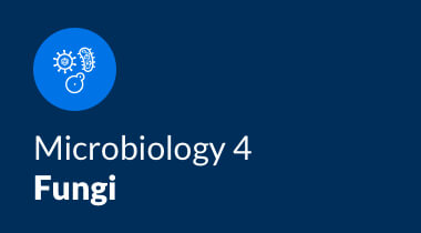 Microbiology 4: Fungi