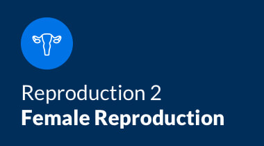 Reproduction 2: Female Reproduction