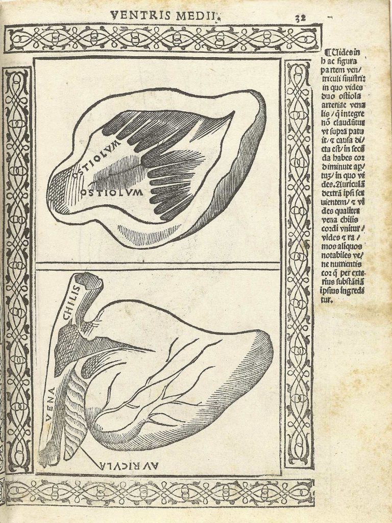 Medical Illustration - Renaissance & Enlightenment | The Rotation